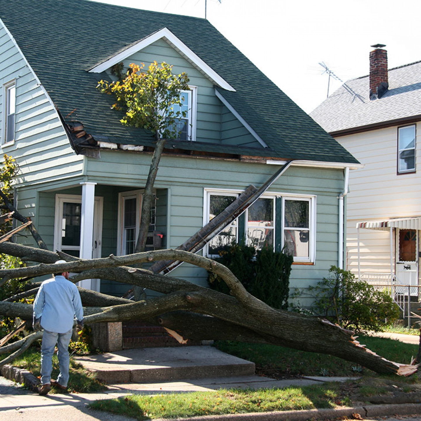 Storm Damage Tree Removal | Dallas, Gastonia & Lincolnton, NC | Jimmy ...